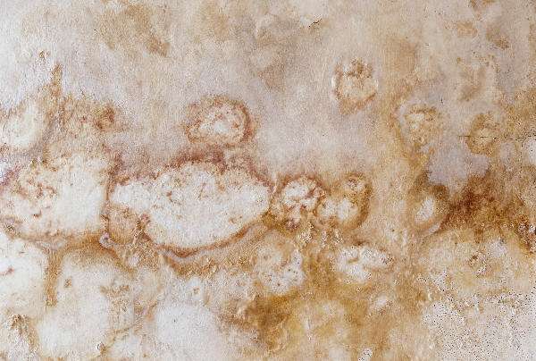 Feuchte Wände und Feuchtigkeitsschäden im Haus